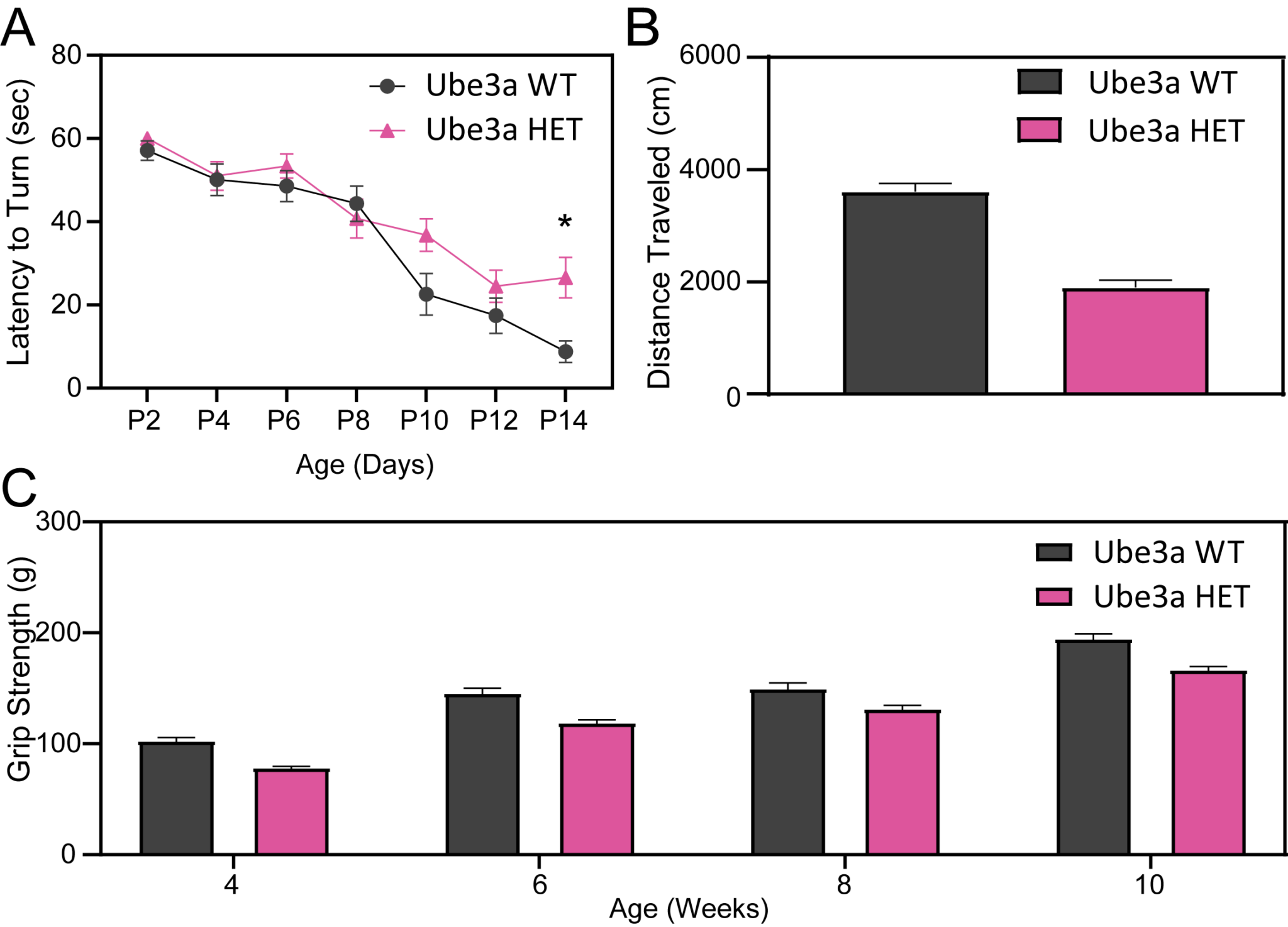 Characterization of the Ube3a Mouse Model of Angelman Syndrome ...