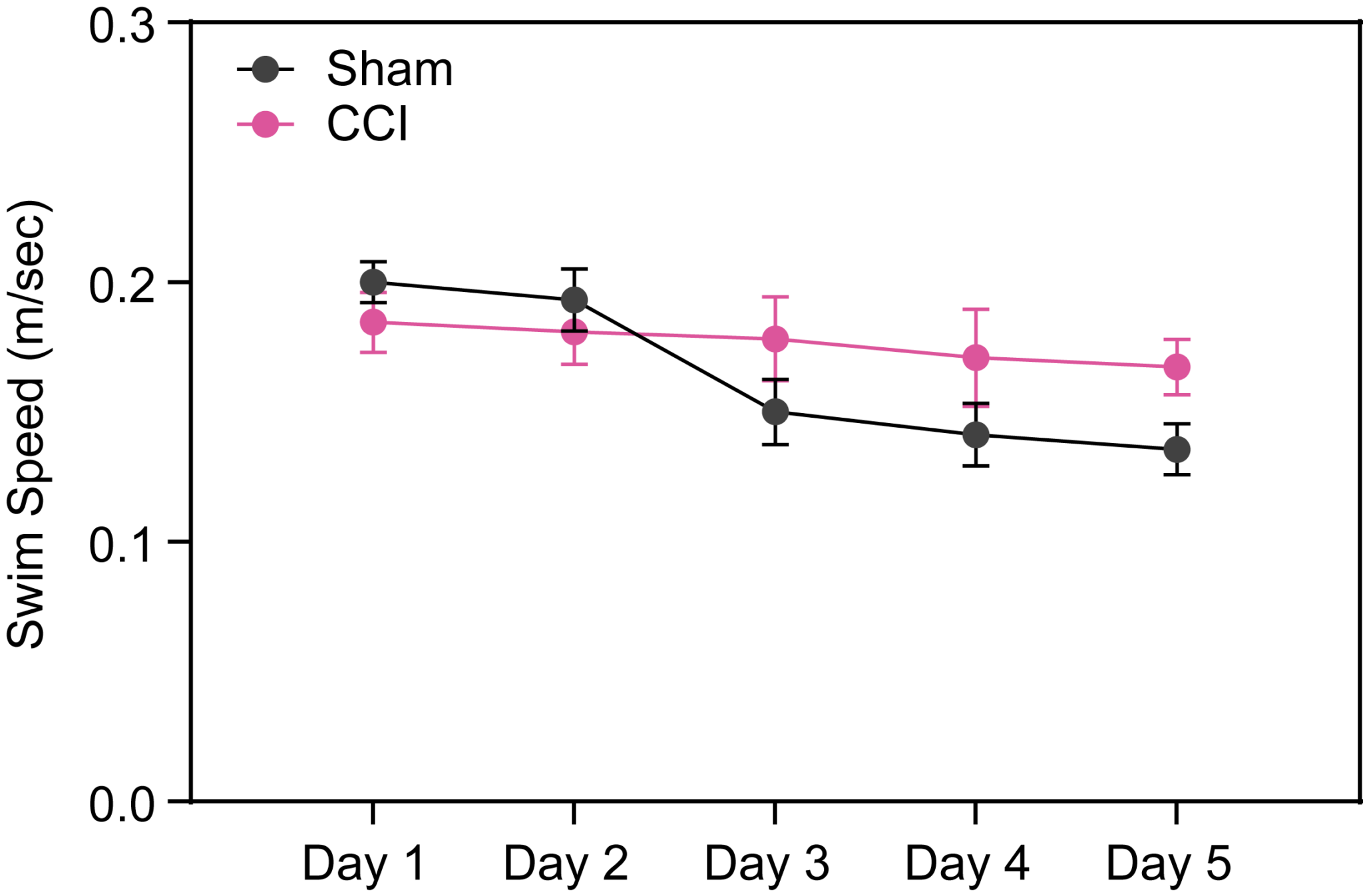 Preclinical Traumatic Brain Injury (TBI) Studies | PsychoGenics