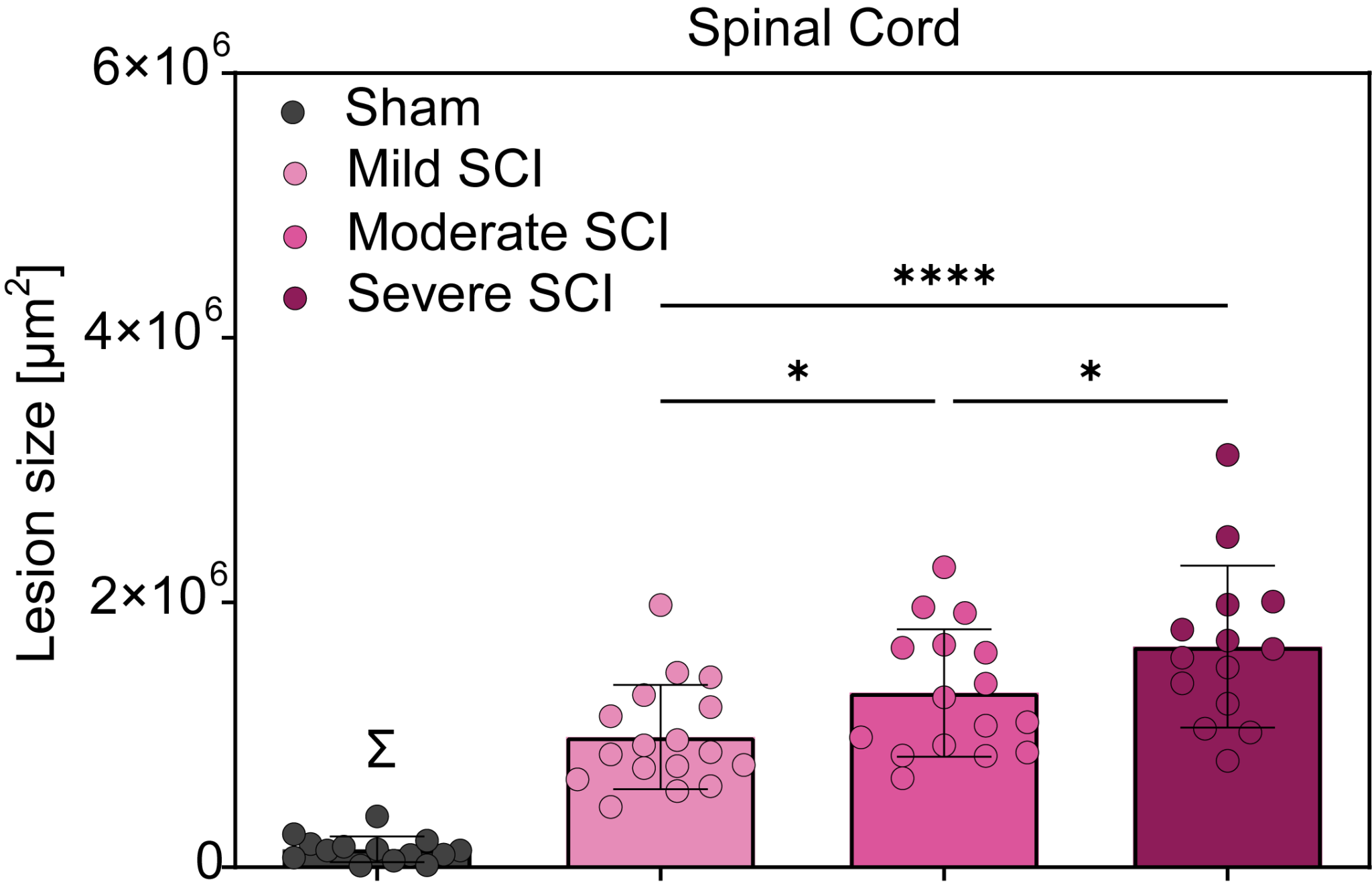 Spinal Cord Injury (SCI) Research | PsychoGenics