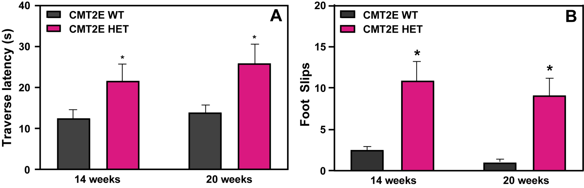 Characterization of a Mouse Model of CMT2E | PsychoGenics