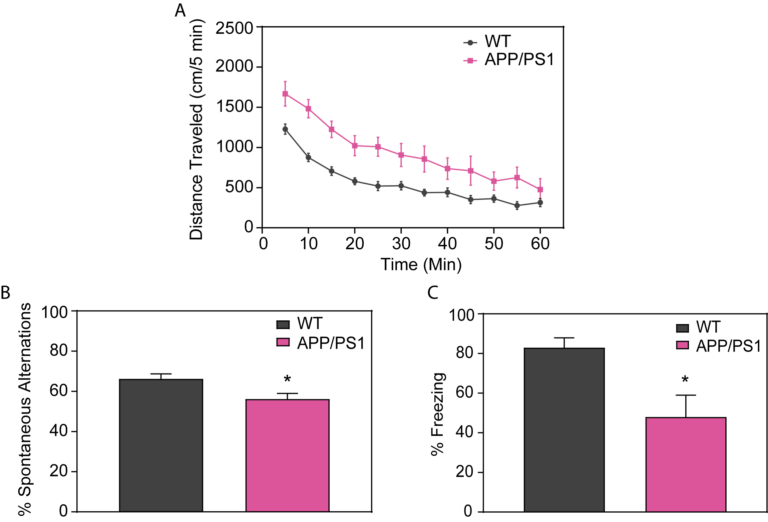 Characterization of The APP/PS1 Mouse Model of Alzheimer's Disease | PsychoGenics