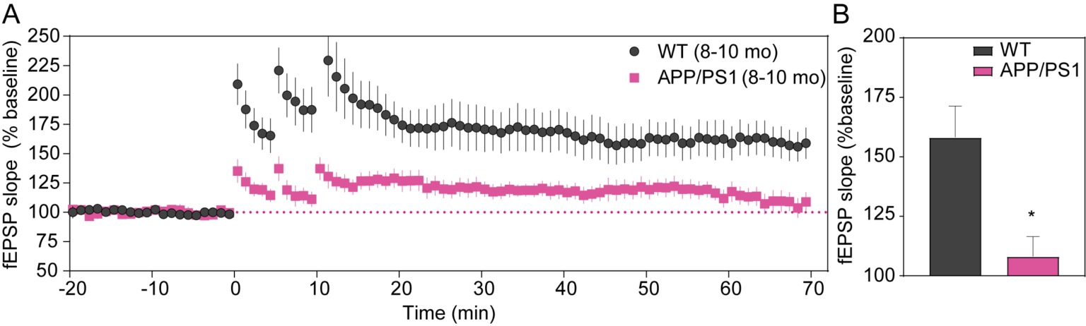 Characterization of The APP/PS1 Mouse Model of Alzheimer's Disease ...