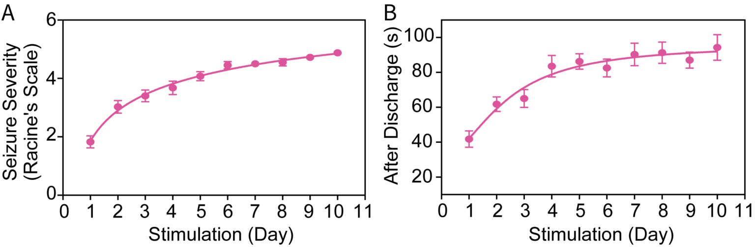 Characterization of Rat Kindling Models | PsychoGenics