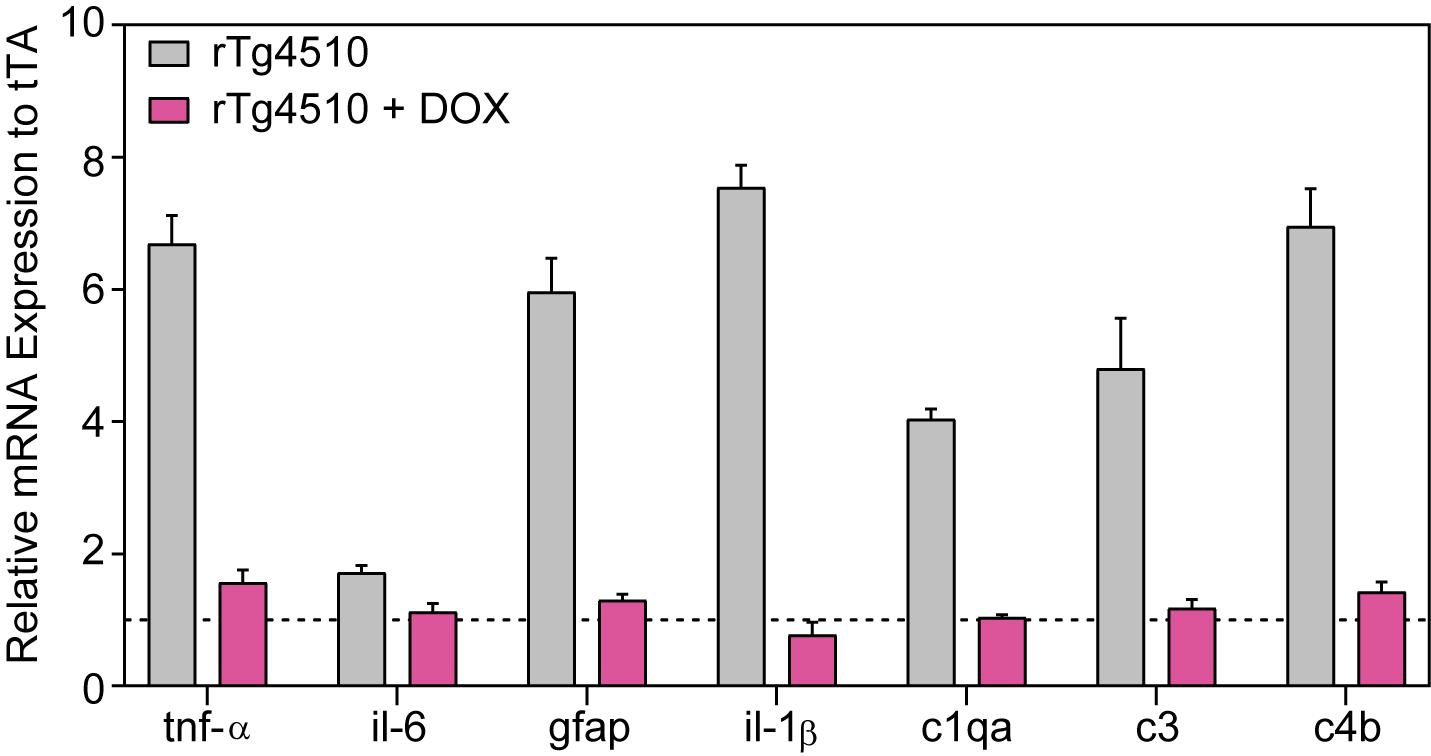 Characterization of The rTg4510 Mouse Model of Alzheimer's Disease | PsychoGenics