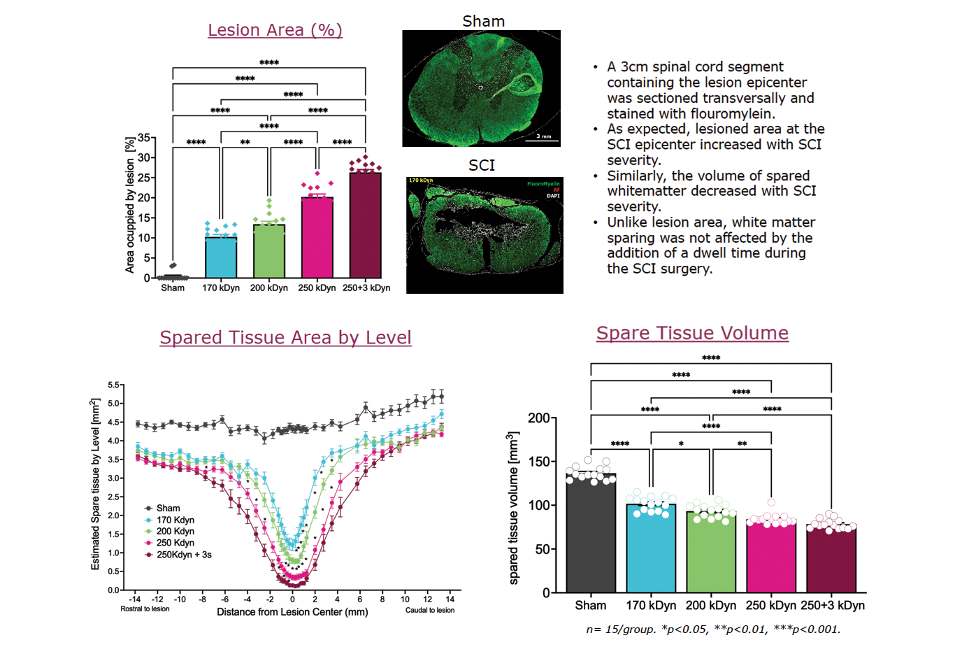 Model Development of a T8 Rat Contusion Model: Different Lesion Severities Elicited Distinct ...