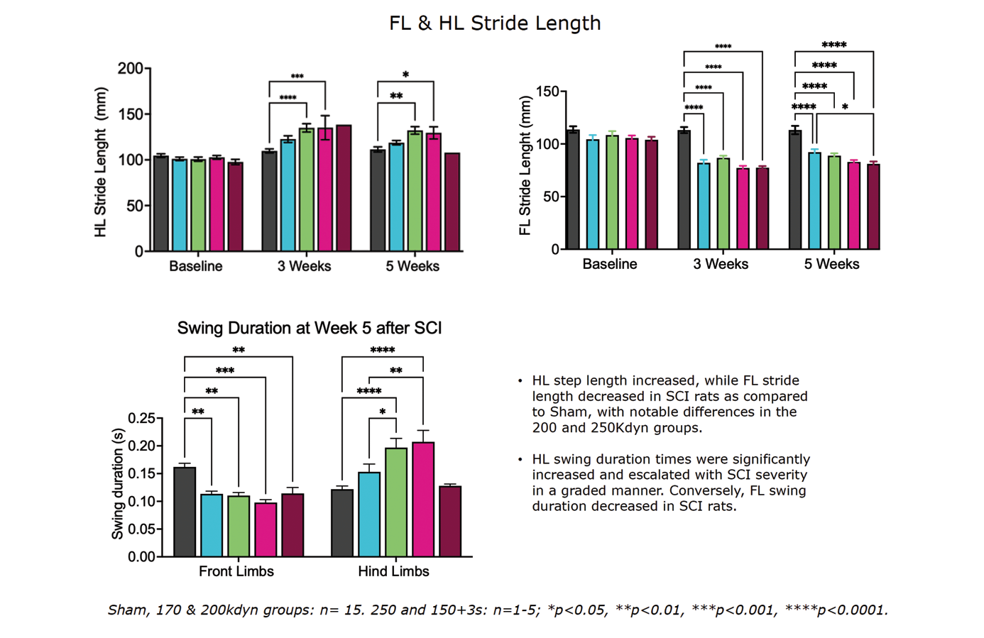 Model Development of a T8 Rat Contusion Model: Different Lesion Severities Elicited Distinct ...