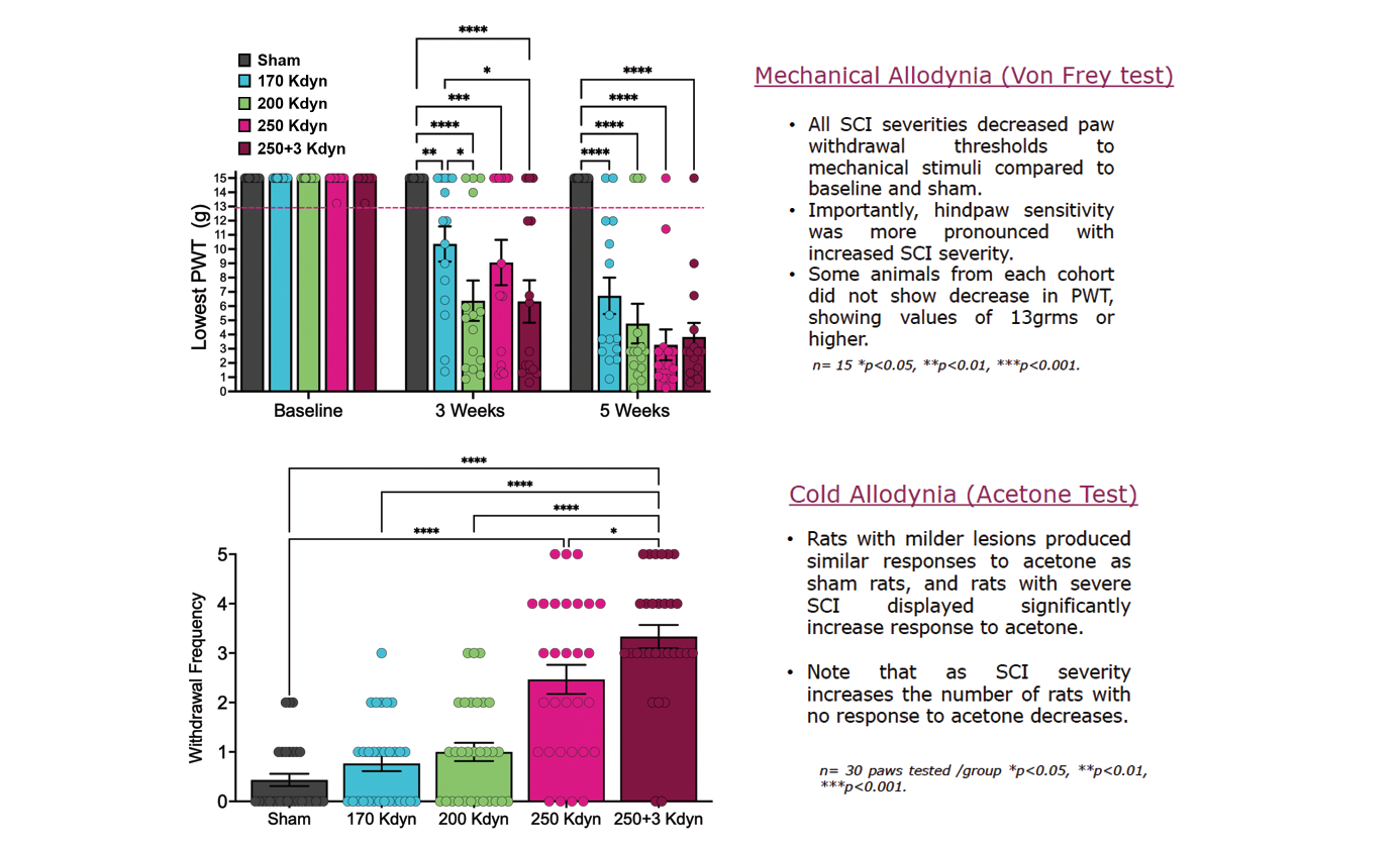 Model Development of a T8 Rat Contusion Model: Different Lesion Severities Elicited Distinct ...